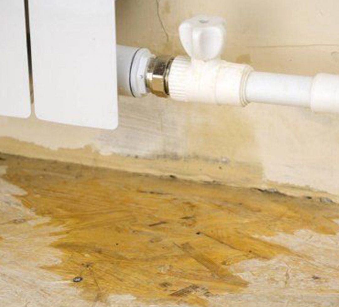 Water Damage Investigation FLBuilding Performance Solutions